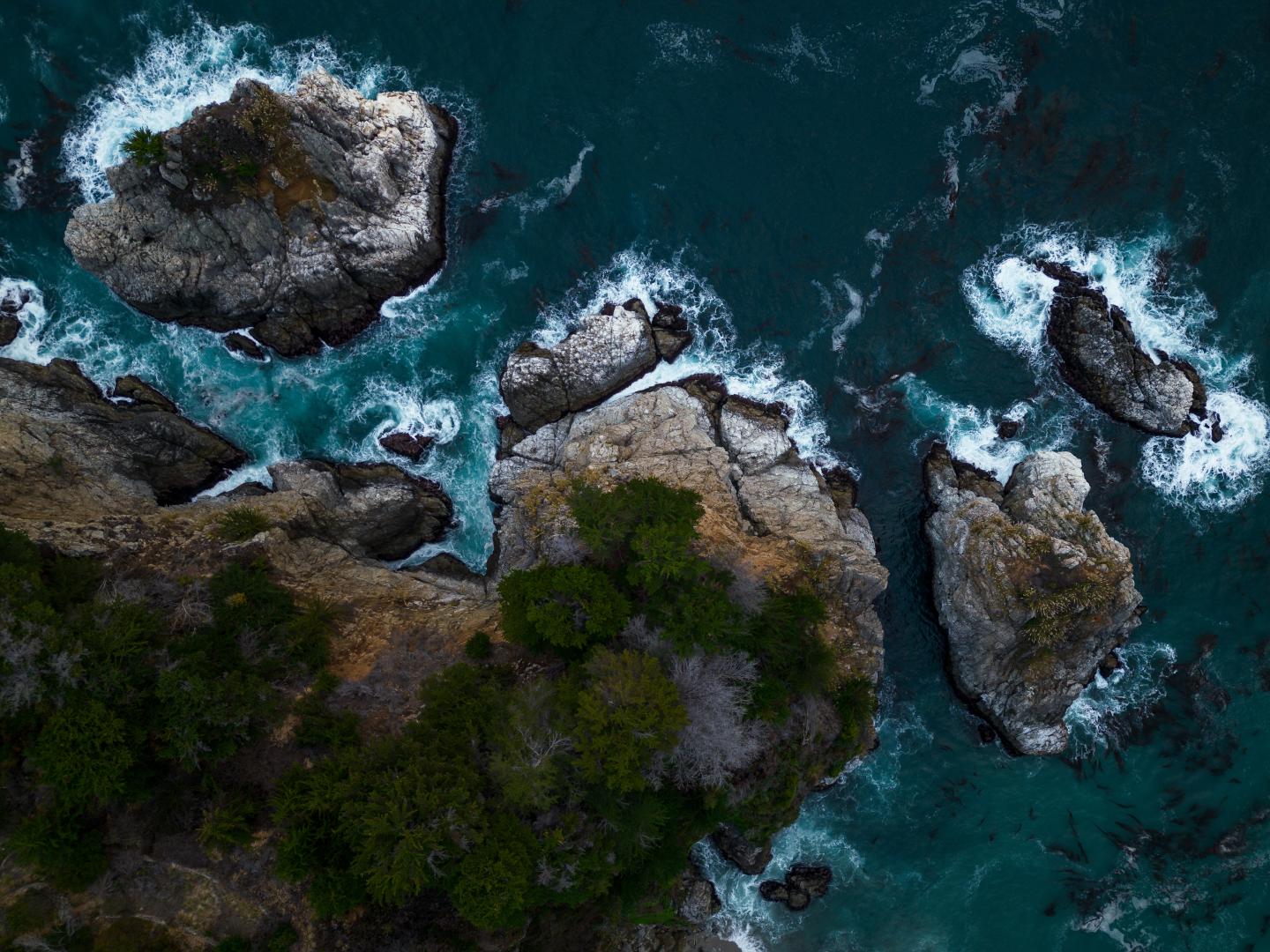 Cummins assumes full ownership of key fuel cell and electrolyzer ...