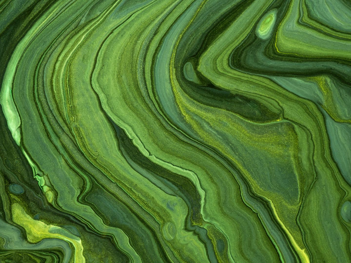 Accelera and GAIL partner to advance green hydrogen production ...